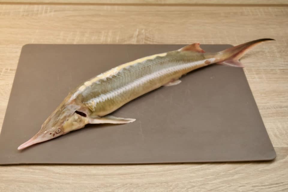 Kečiga iz pećnice sa kuhanim krumpirom • Reci Peci